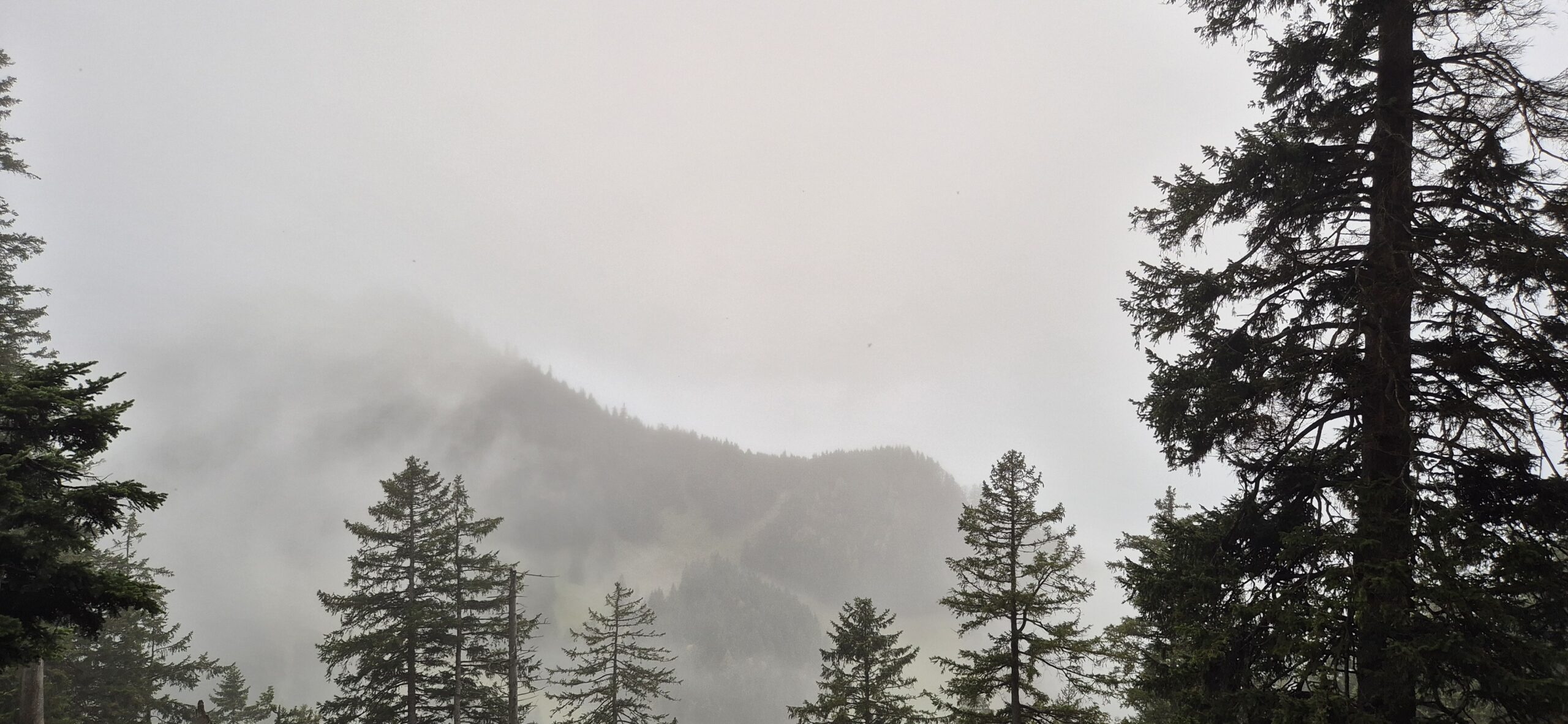 redIT on the Wildspitz